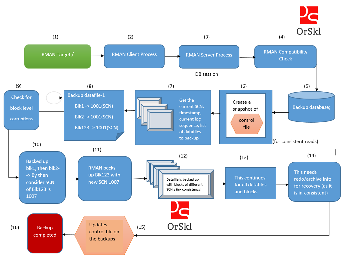 Why Rman Needs Redo For Database Backups Orskl